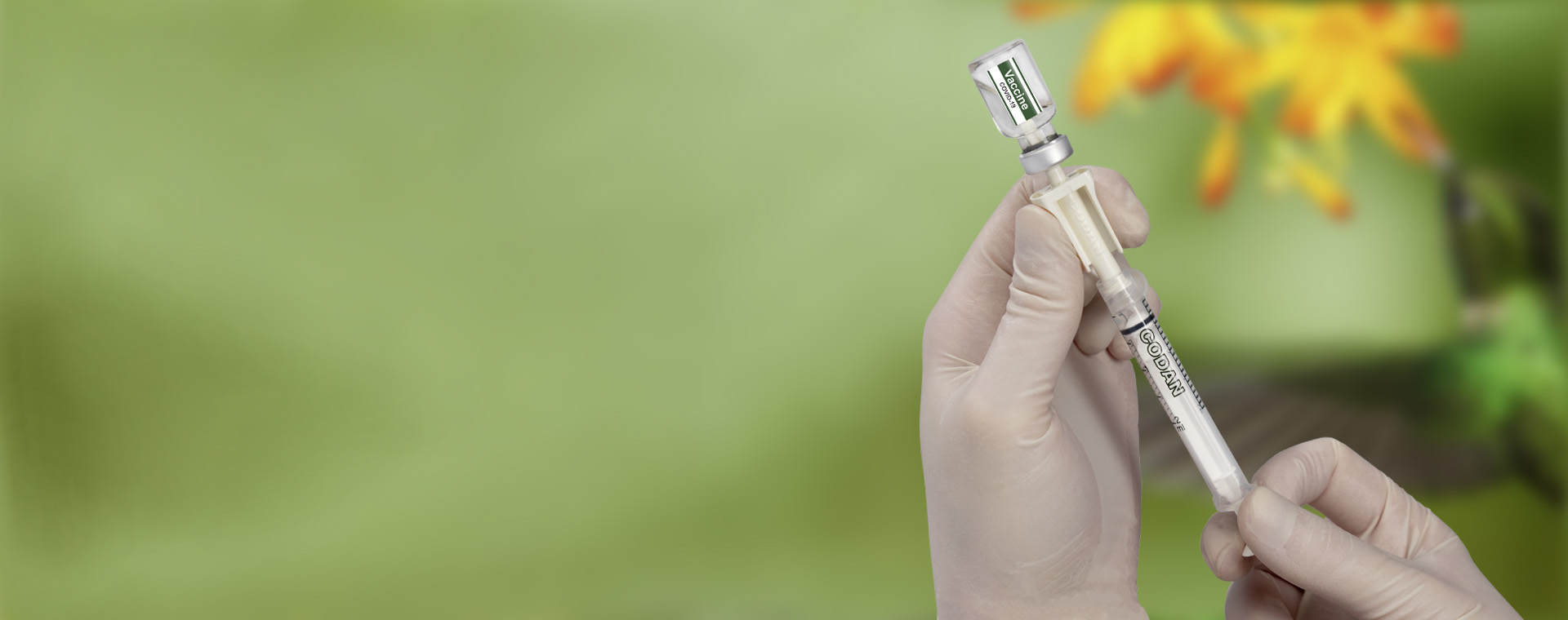 CODAN Companies | The decisive connection