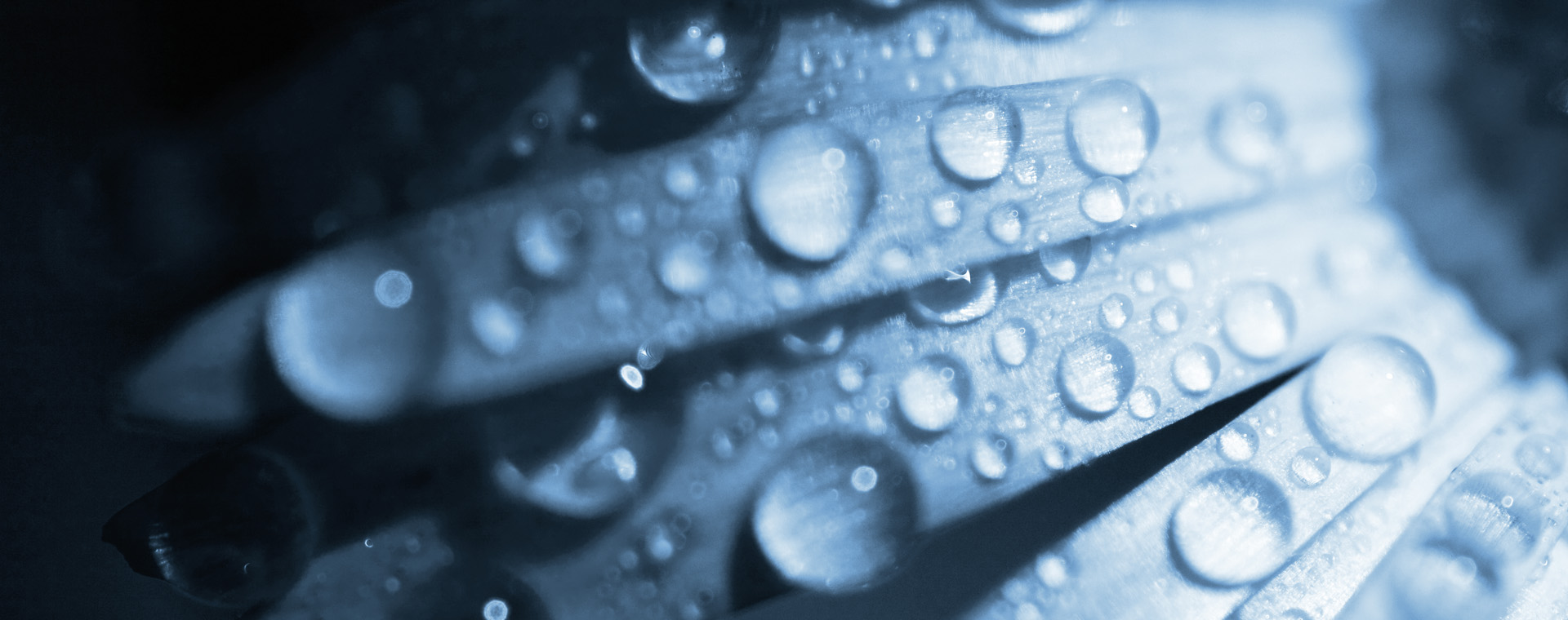 CODAN Companies | The decisive connection